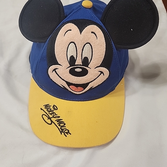 Disney | Other | Disney Blue And Yellow Character Cap | Poshmark